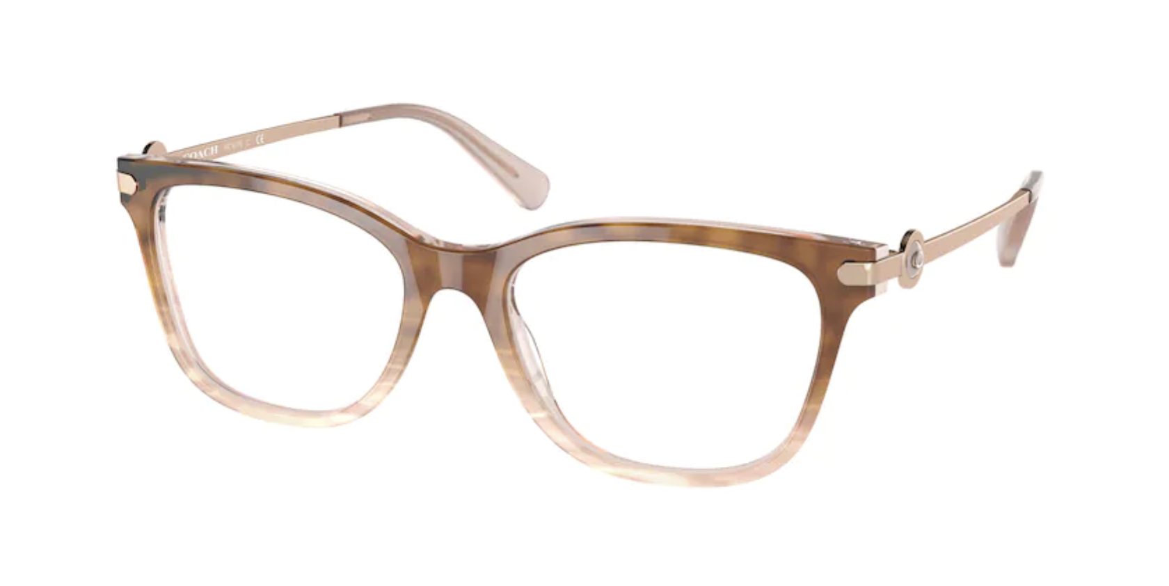 COACH 6176 | Ottica Immagini | Ottico | Rovereto | Trento